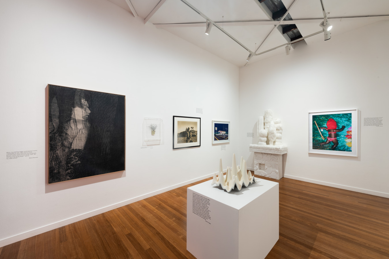 The First 40 Years, 2024 - Roslyn Oxley9 Gallery