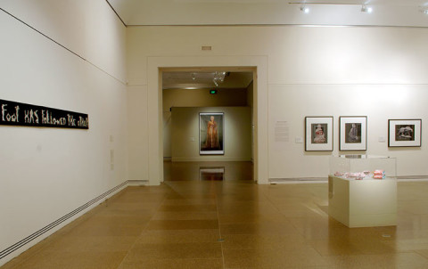 Fiona Hall: The Art of Fiona Hall, 2005