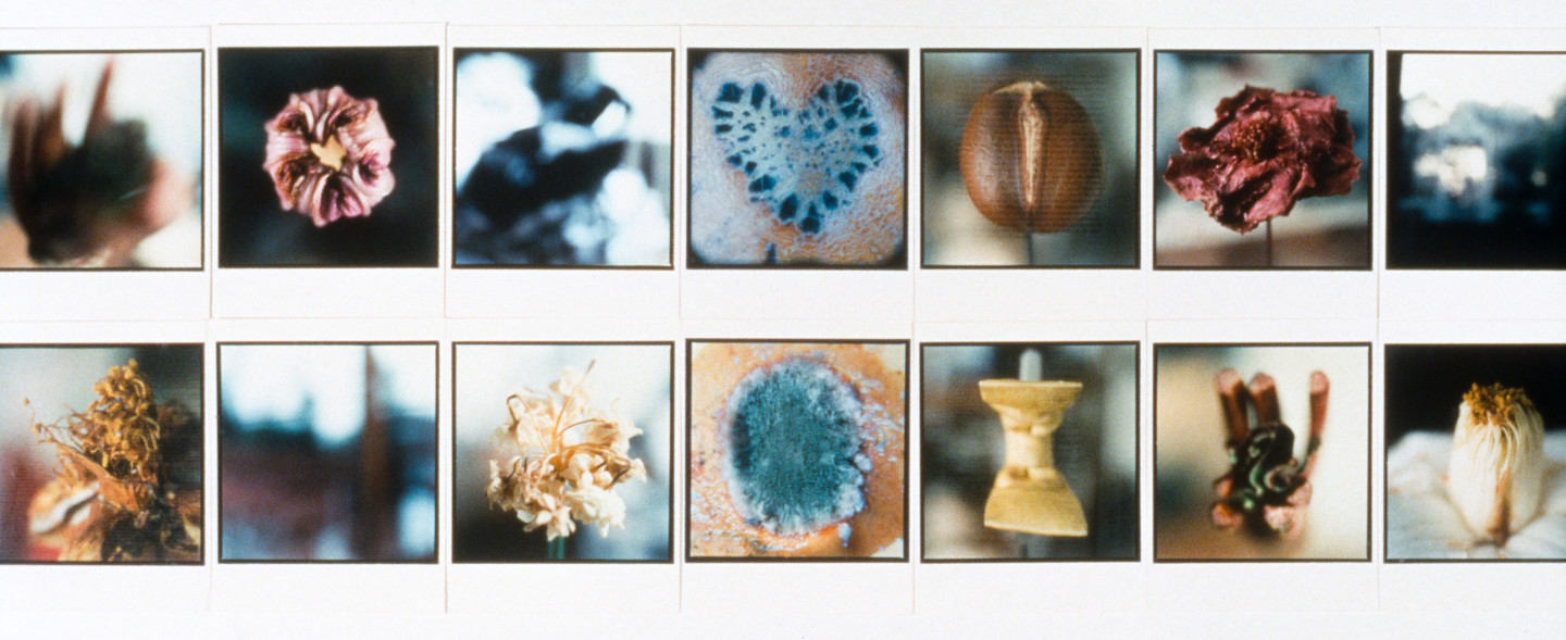 Paul Ferman: Metosis – Meiosis, 1999 - Roslyn Oxley9 Gallery