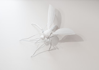 James Angus: Selected Works, 2004 - Roslyn Oxley9 Gallery