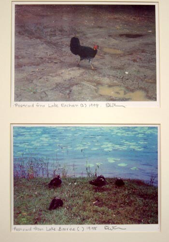 Destiny Deacon: Postcards from Mummy, 2003 - Roslyn Oxley9 Gallery