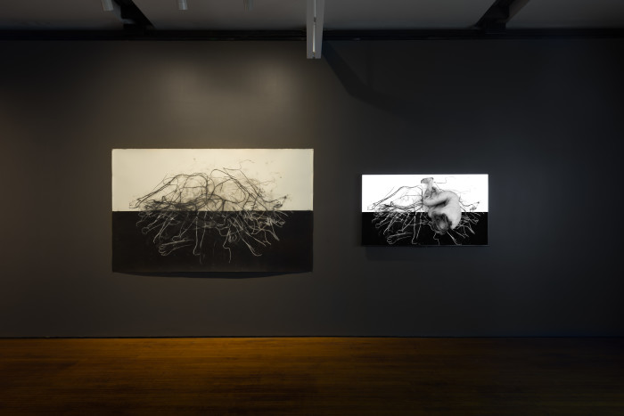 Julie Rrap: The Dust of History, 2022 - Roslyn Oxley9 Gallery