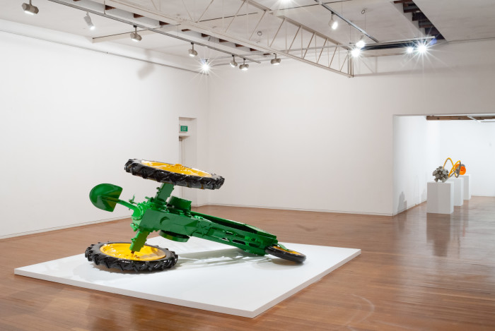 James Angus: James Angus, 2010 - Roslyn Oxley9 Gallery