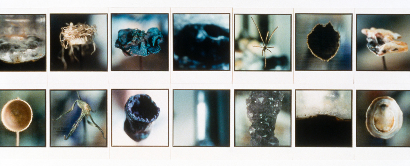 Paul Ferman: Metosis – Meiosis, 1999 - Roslyn Oxley9 Gallery