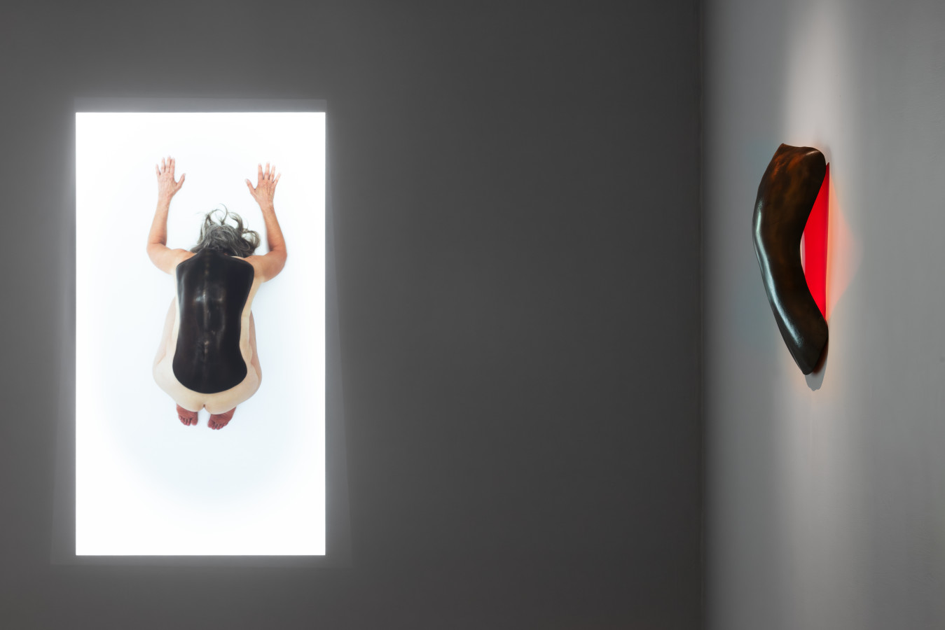 Julie Rrap: Carapace, 2024 - Roslyn Oxley9 Gallery