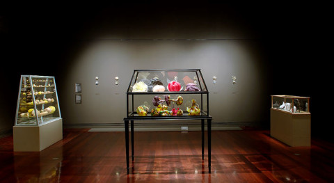 Fiona Hall: The Art of Fiona Hall, 2005