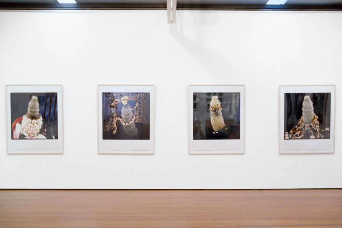 Paul Ferman: Paul Ferman, 1996 - Roslyn Oxley9 Gallery