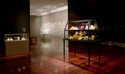 Fiona Hall: The Art of Fiona Hall, 2005