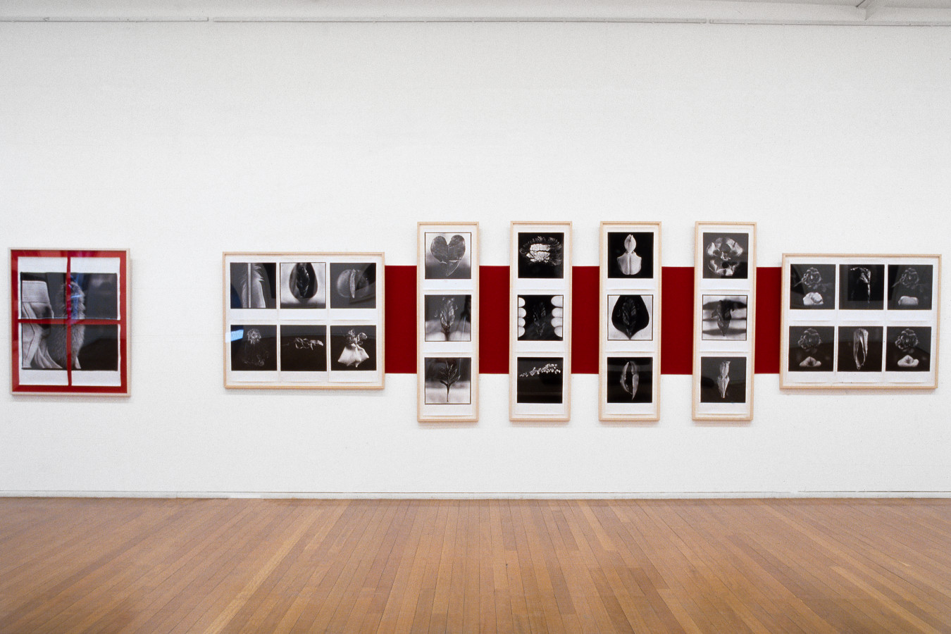 Paul Ferman: Paul Ferman, 1996 - Roslyn Oxley9 Gallery