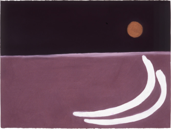 Fiona Foley: Fiona Foley, 1988 - Roslyn Oxley9 Gallery