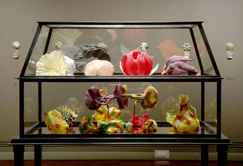 Fiona Hall: The Art of Fiona Hall, 2005