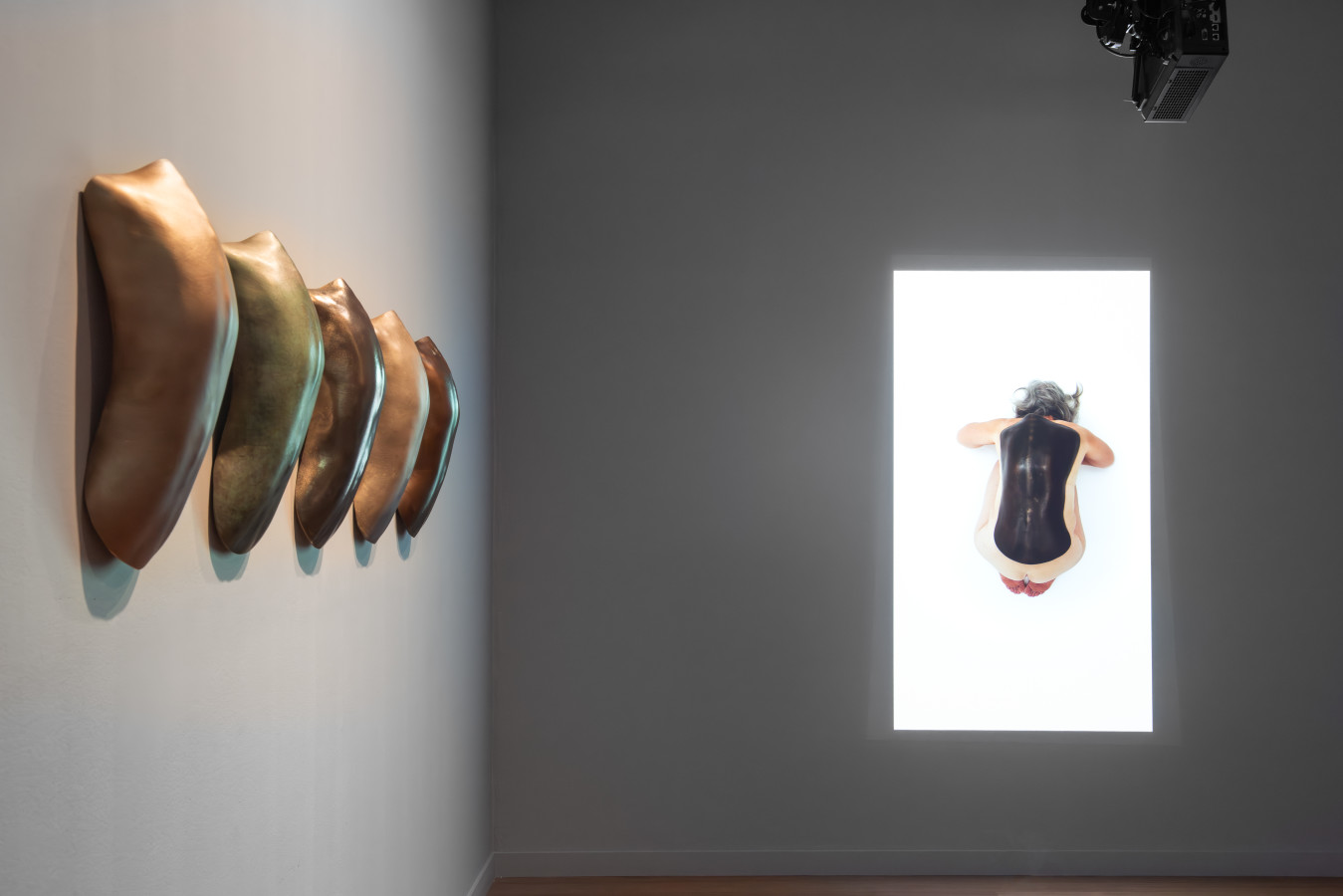 Julie Rrap: Carapace, 2024 - Roslyn Oxley9 Gallery