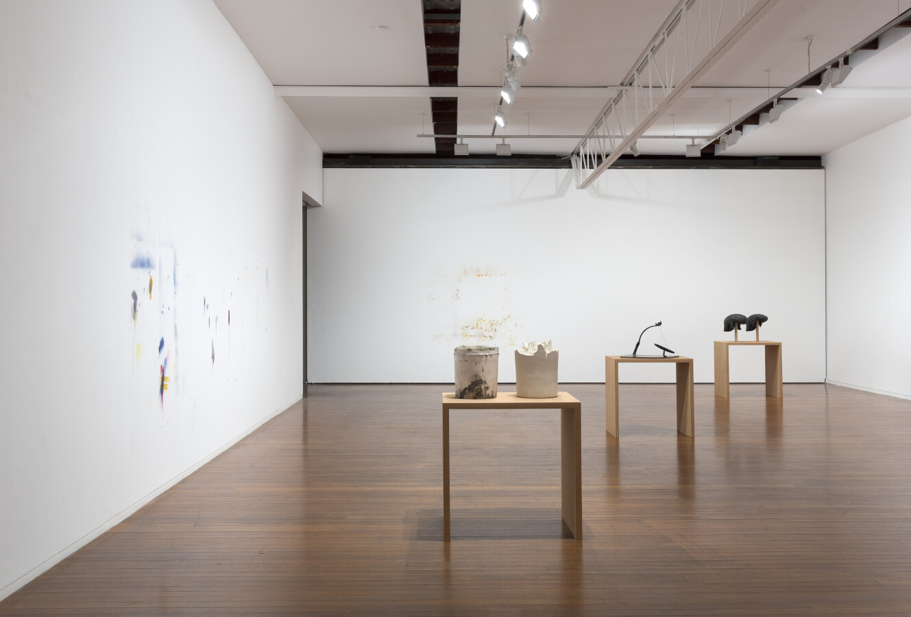 Hany Armanious: Hany Armanious, 2018 - Roslyn Oxley9 Gallery